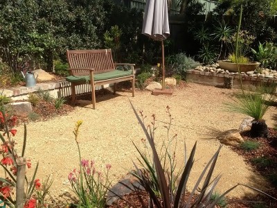 Modern Australian Native Garden Lower North Shore - Landscapers Sydney